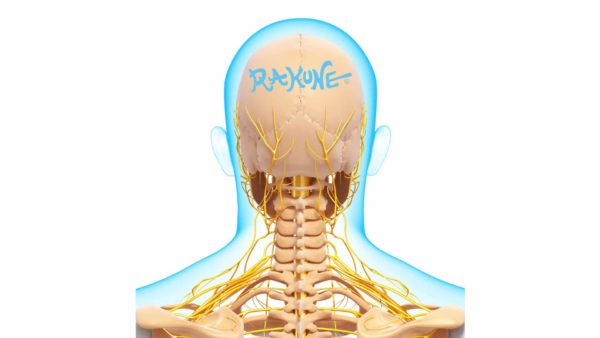 seigan-top-rinpa - RAKUNE